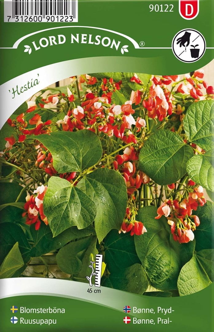 Ruusupapu, `Hestia` - Kukka- ja puutarhakauppa Lillukka